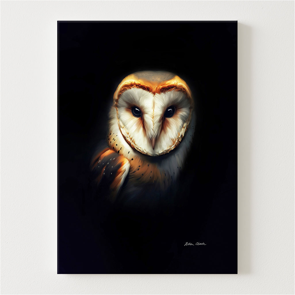 Birds – Helen Clark