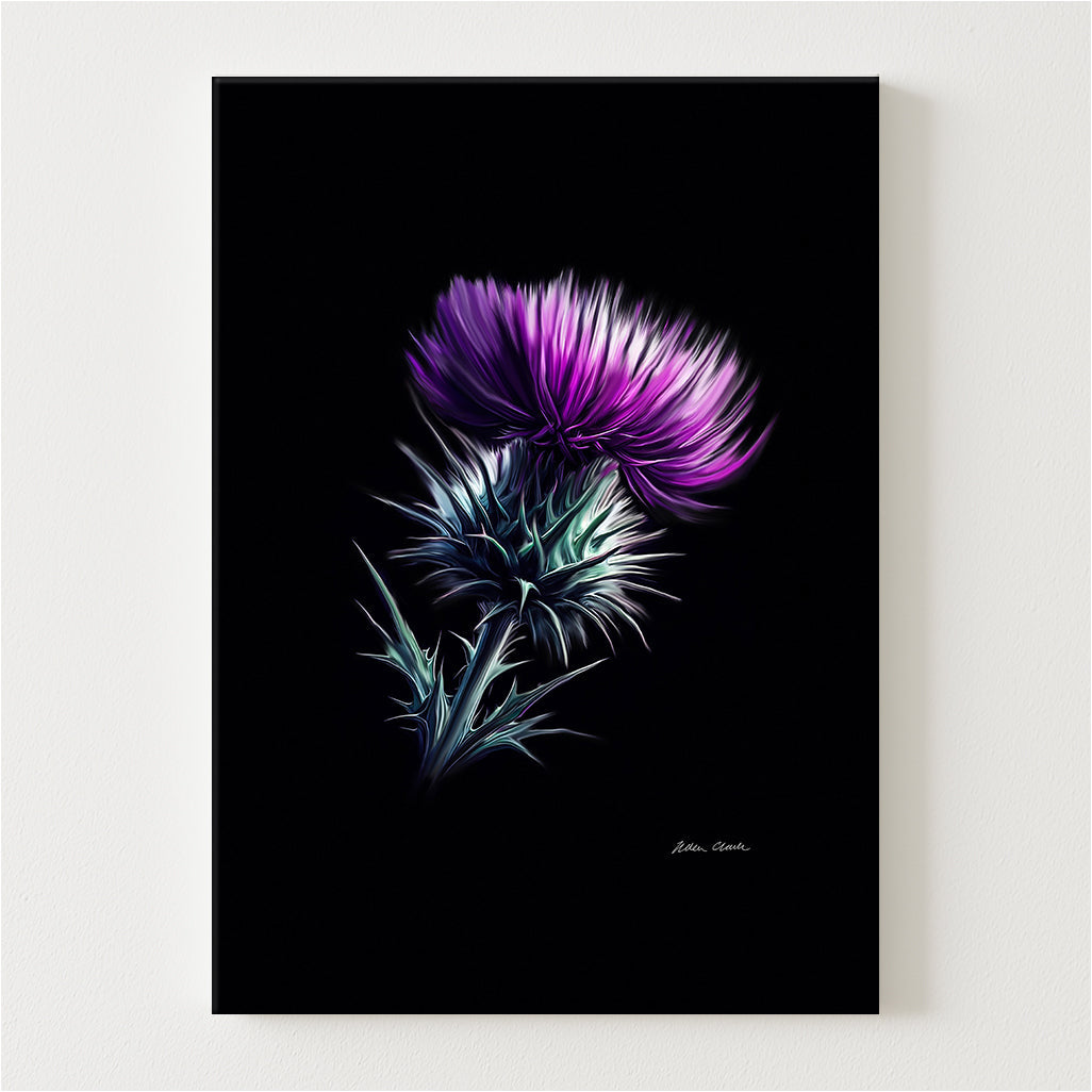 Purple Haze – Helen Clark